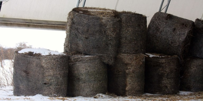 The marketability of soybean straw