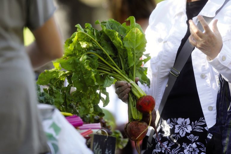 Selling farm-direct to consumers - Country Guide