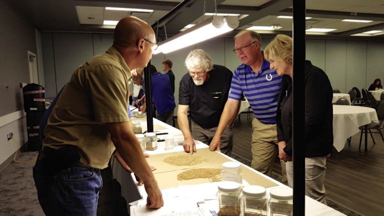 Getting the scoop on grain grading - Country Guide