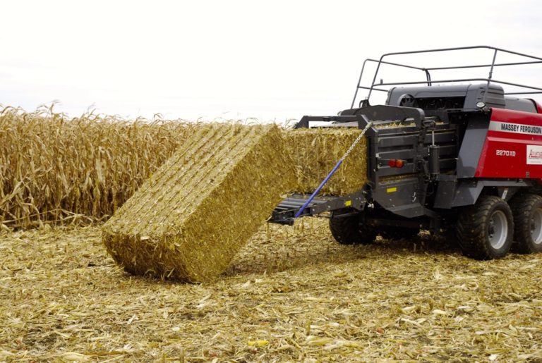 Rolling in corn stover - Country Guide