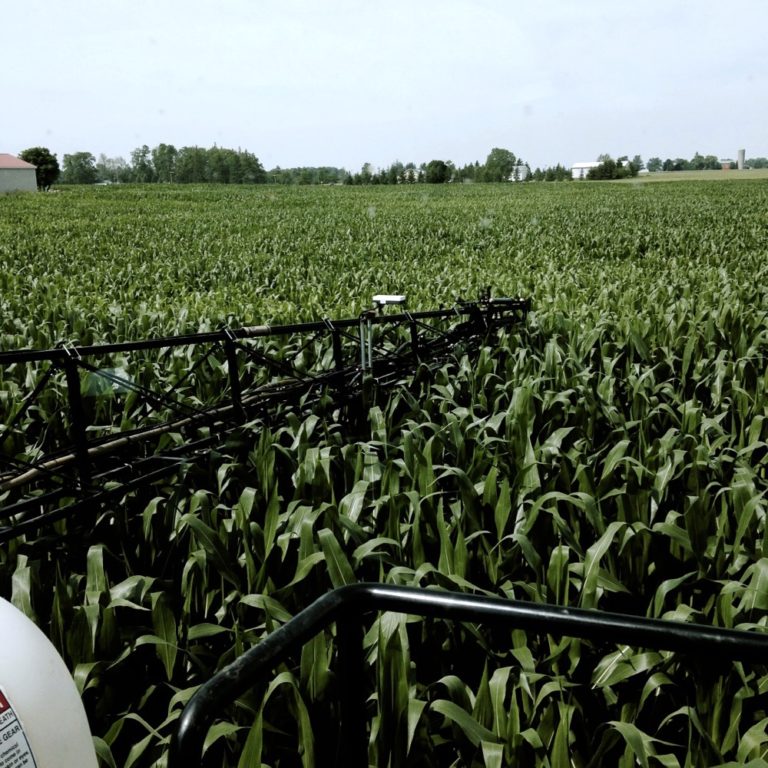 Profit-making N strategies for growing corn - Country Guide