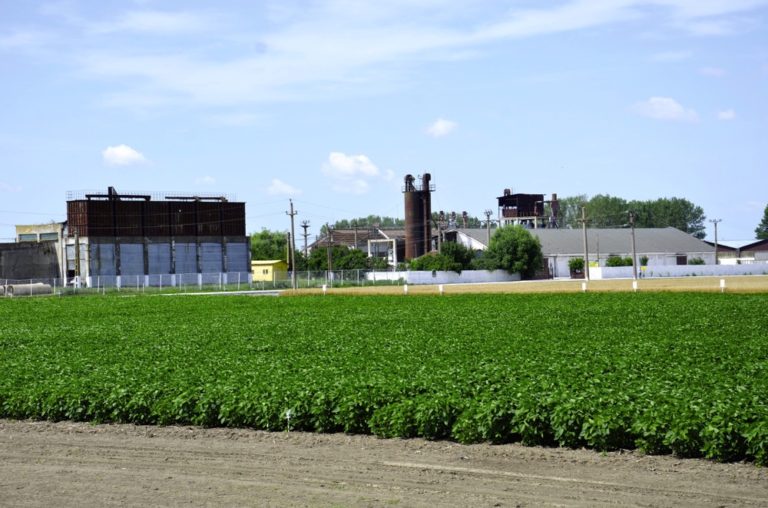 Agricost, Europe’s biggest farm at 145,000 acres