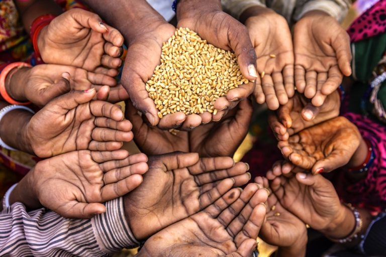 Access to food key to feeding the world's growing population