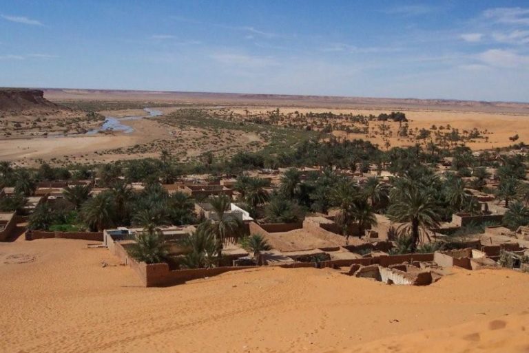 Algeria to open farming concessions to foreigners - Country Guide