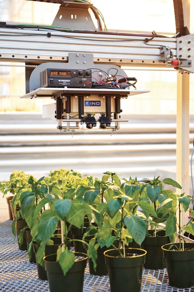 Artificial intelligence offering a brave new world of how you’ll farm ...