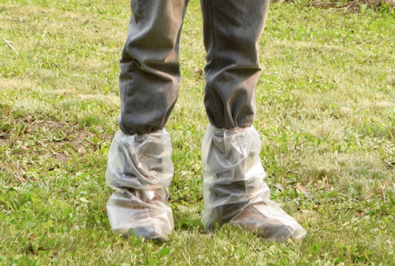 Biosecurity a crucial part of your farm’s business plan - Country Guide