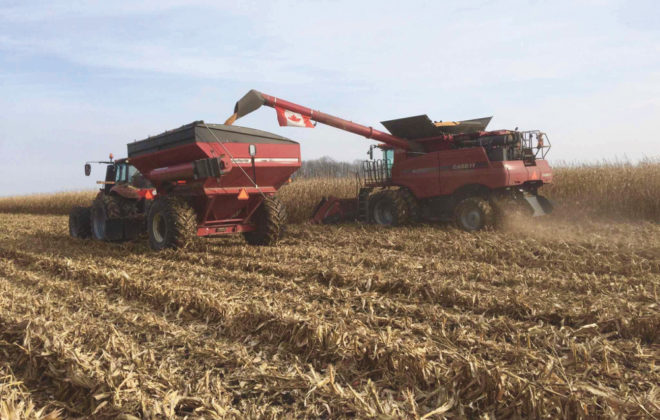 Agriculture Weather & Forecast - Country Guide