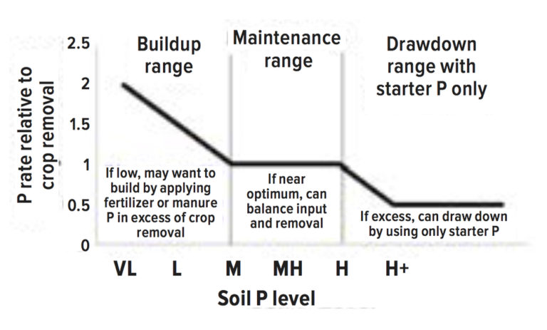 Phosphorus 101: The basic BMPs - Country Guide