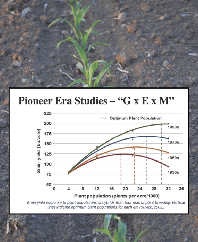 The challenge of even crop emergence - Country Guide