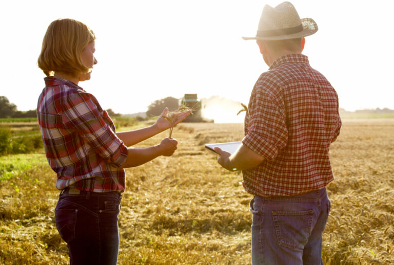 How to know if your farm business skills are keeping up - Country Guide