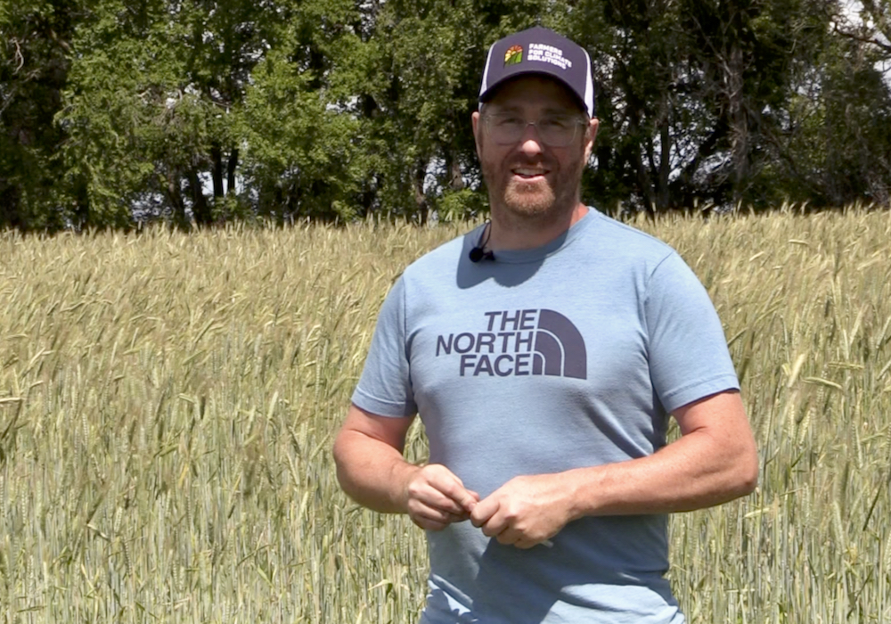 Organic grazing and soil health - Country Guide