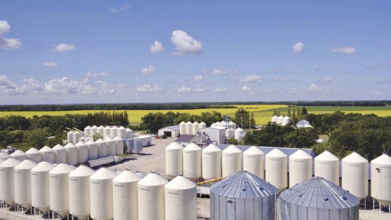 Building a digital agriculture framework - Country Guide