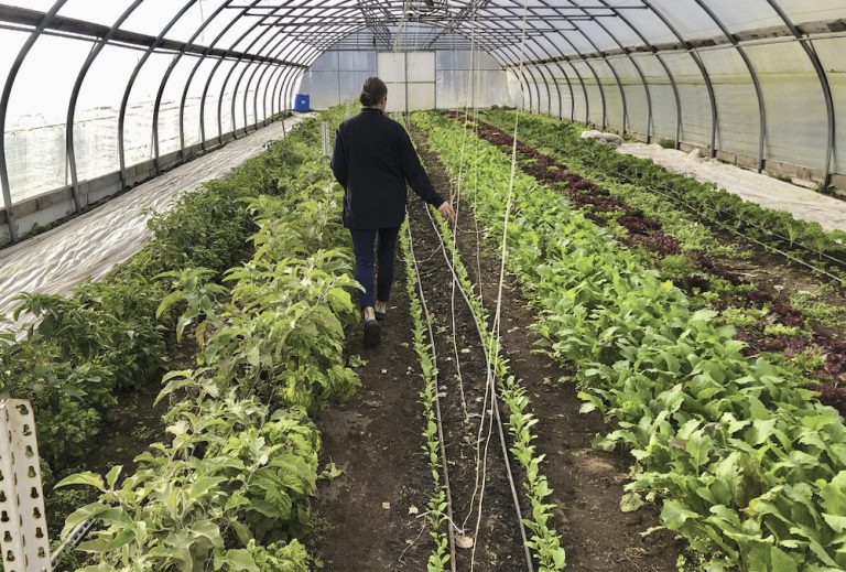 The new farmers - Country Guide