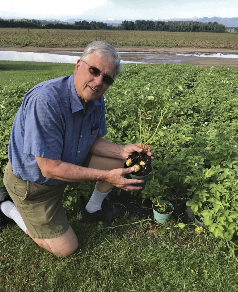 Call in a nurse. A "nurse" crop that is - Country Guide