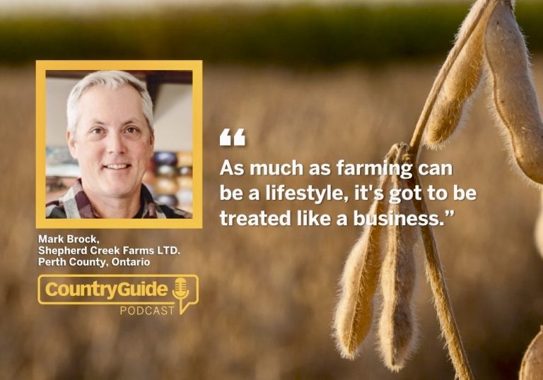 Summer Series: Podcast with Mark Brock - Country Guide