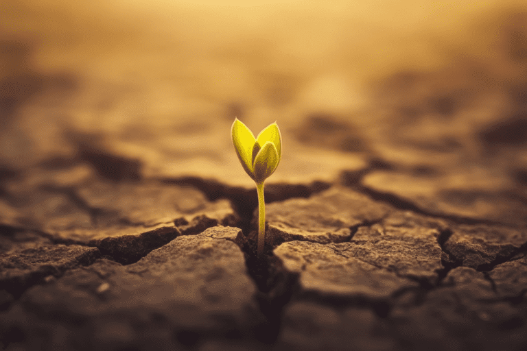 Subscriber alert: Planting a new seed - Country Guide